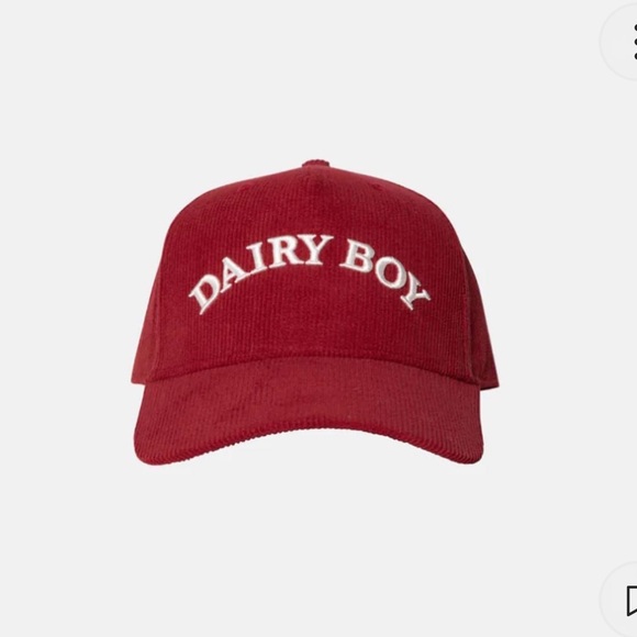 Dairy Boy | Accessories | Dairy Boy Hat | Poshmark
